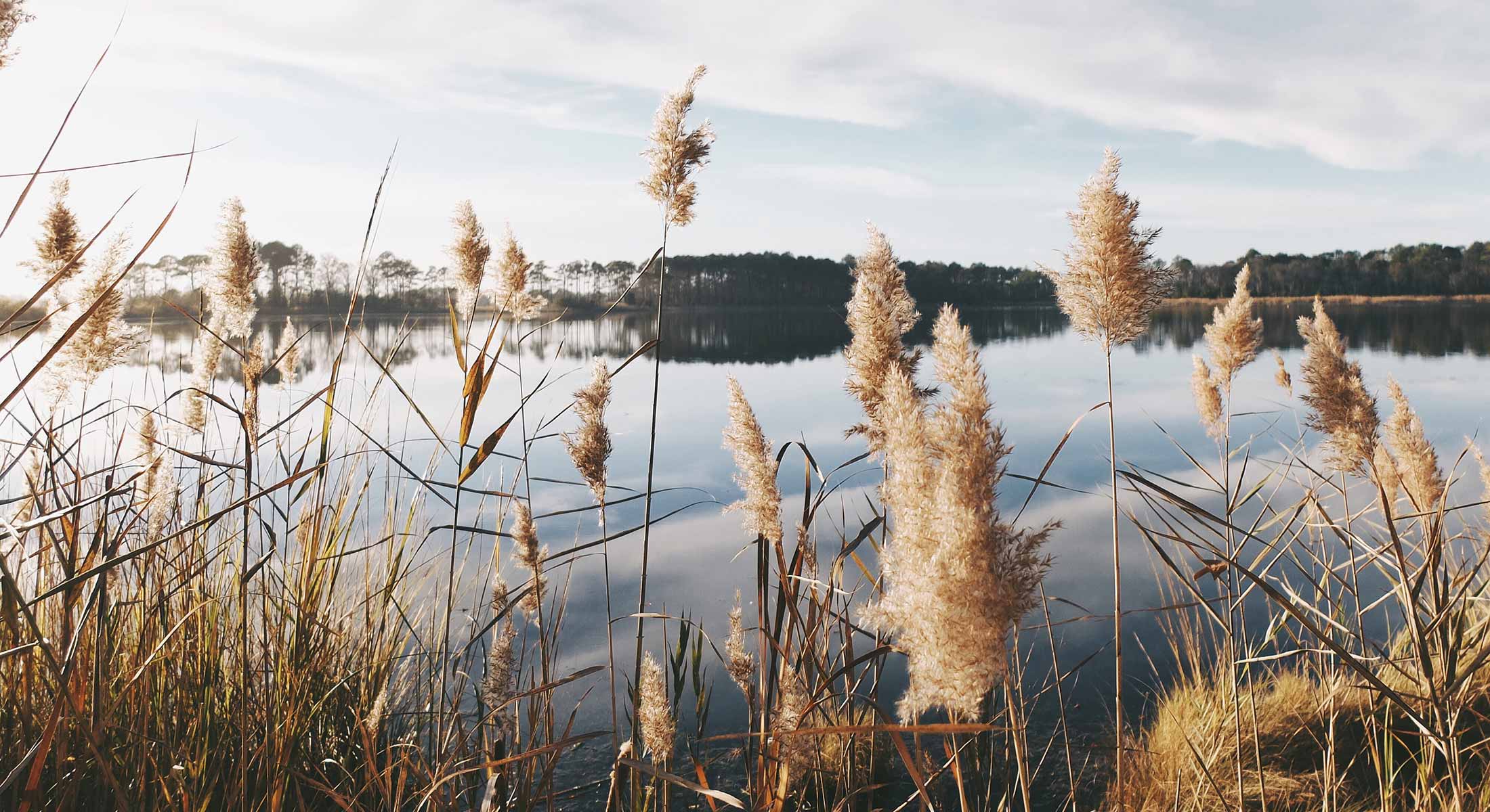 Your Nature - Séjour nature insolite en Belgique
